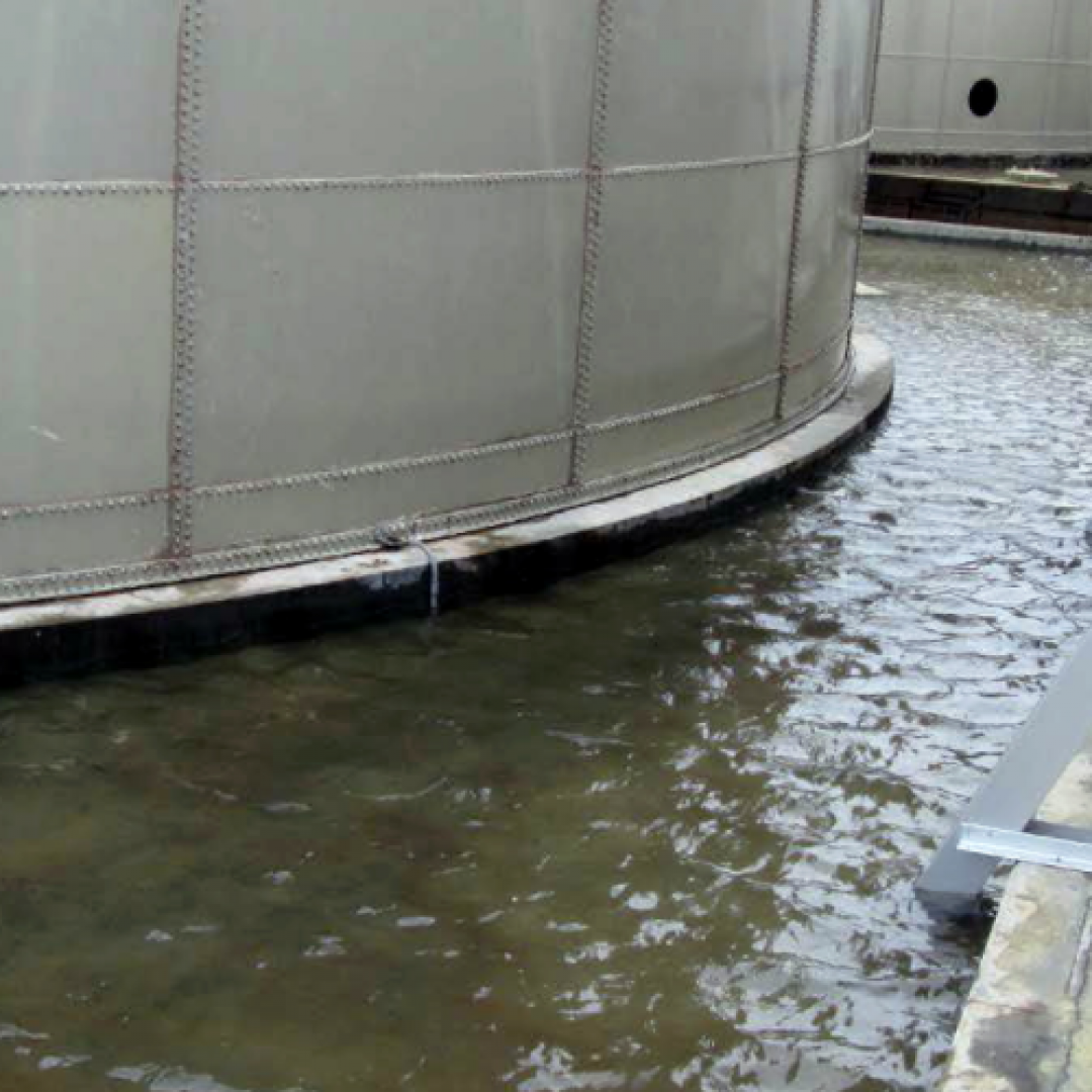 Freetown Rain Water Capture and Storage System Project - NGA Build